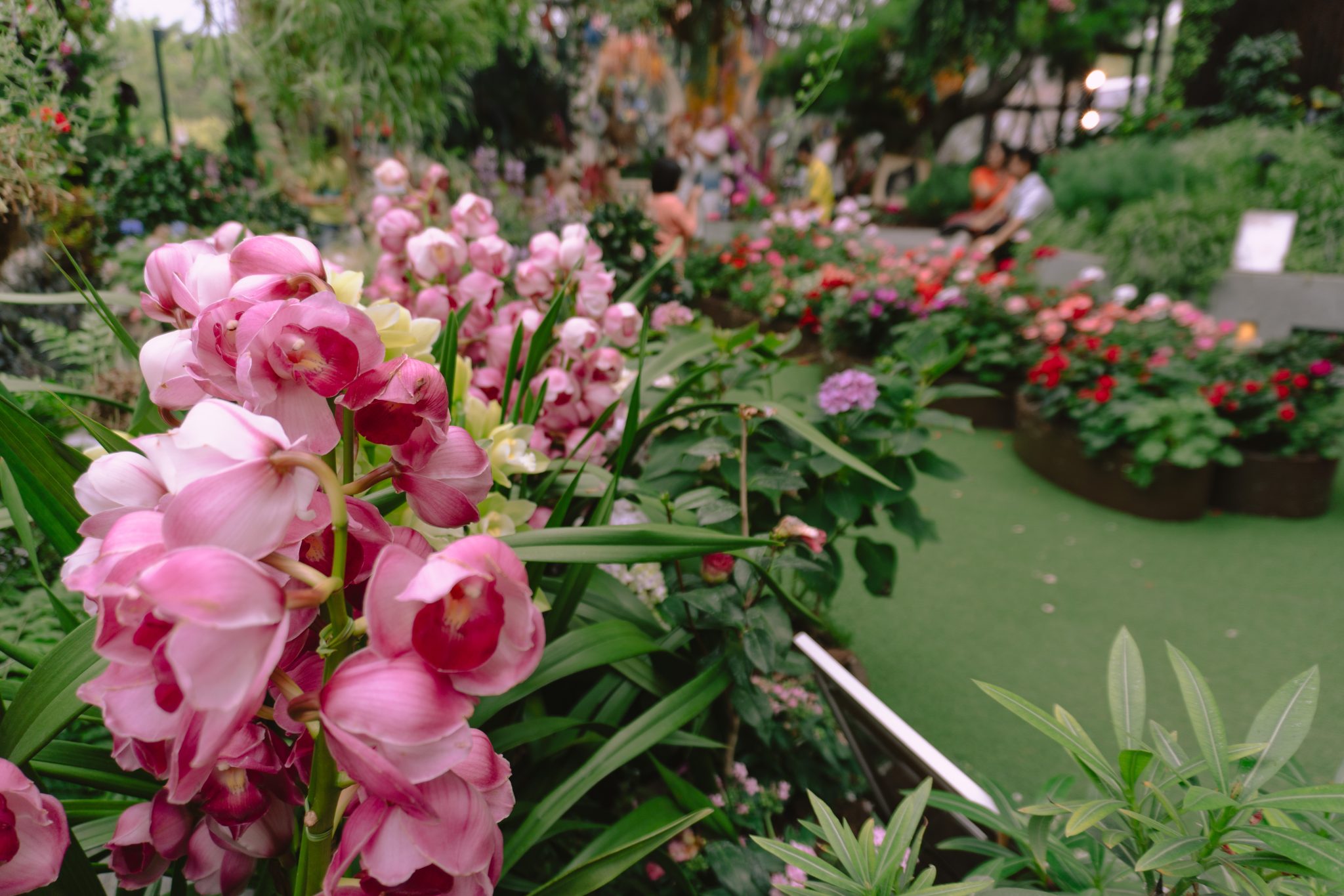 Best Places to Visit in Singapore - Stephi Mi
